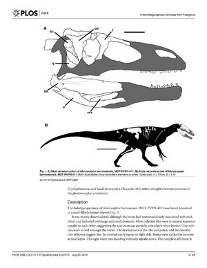 A New Megaraptoran Dinosaur (Dinosauria, Theropoda, Megaraptoridae ...