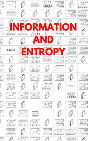 Information and Entropy