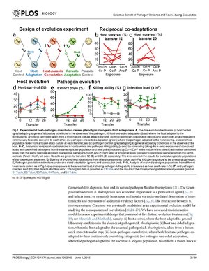 Host-Pathogen Coevolution